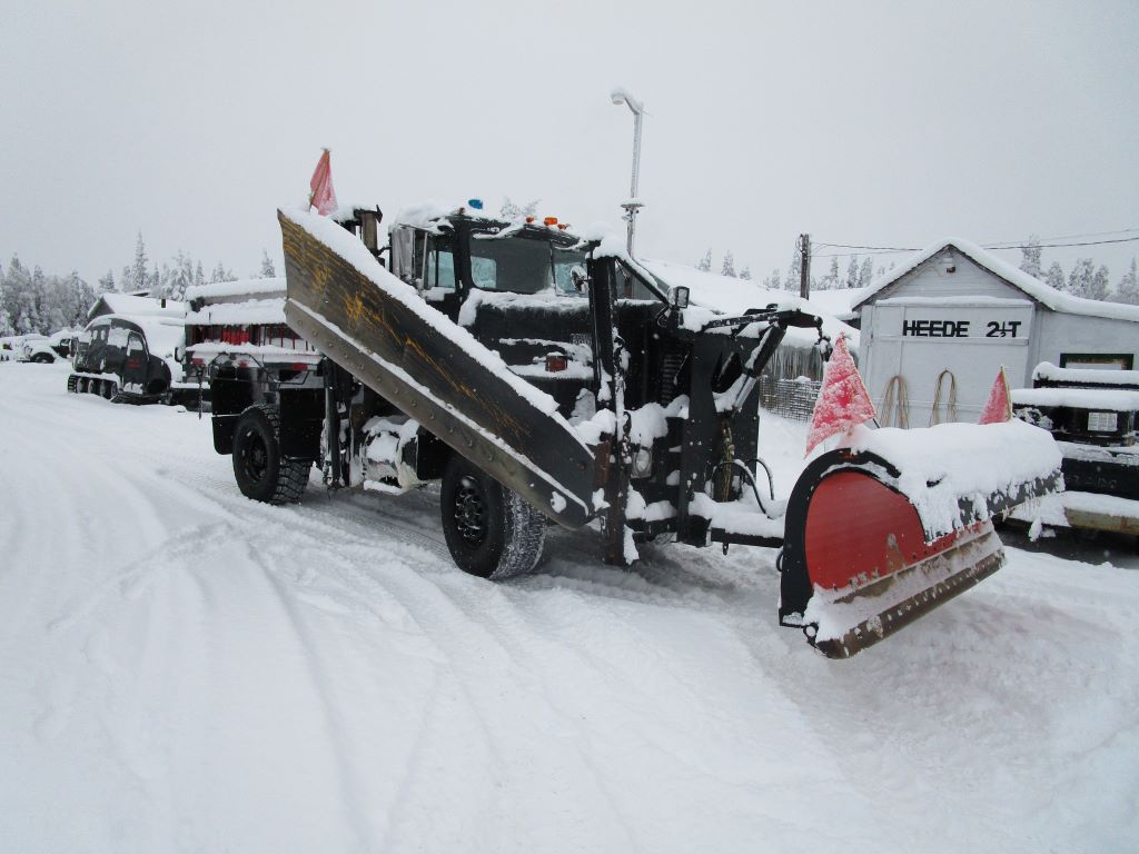 WHAT THE KING DID TODAY