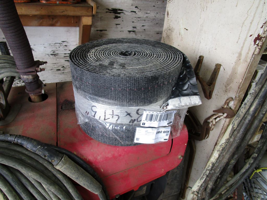 WHAT THE KING DID TODAY