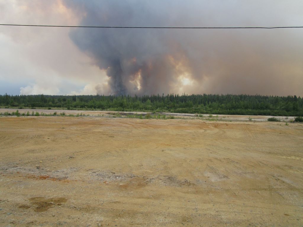 WHAT THE KING DID TODAY