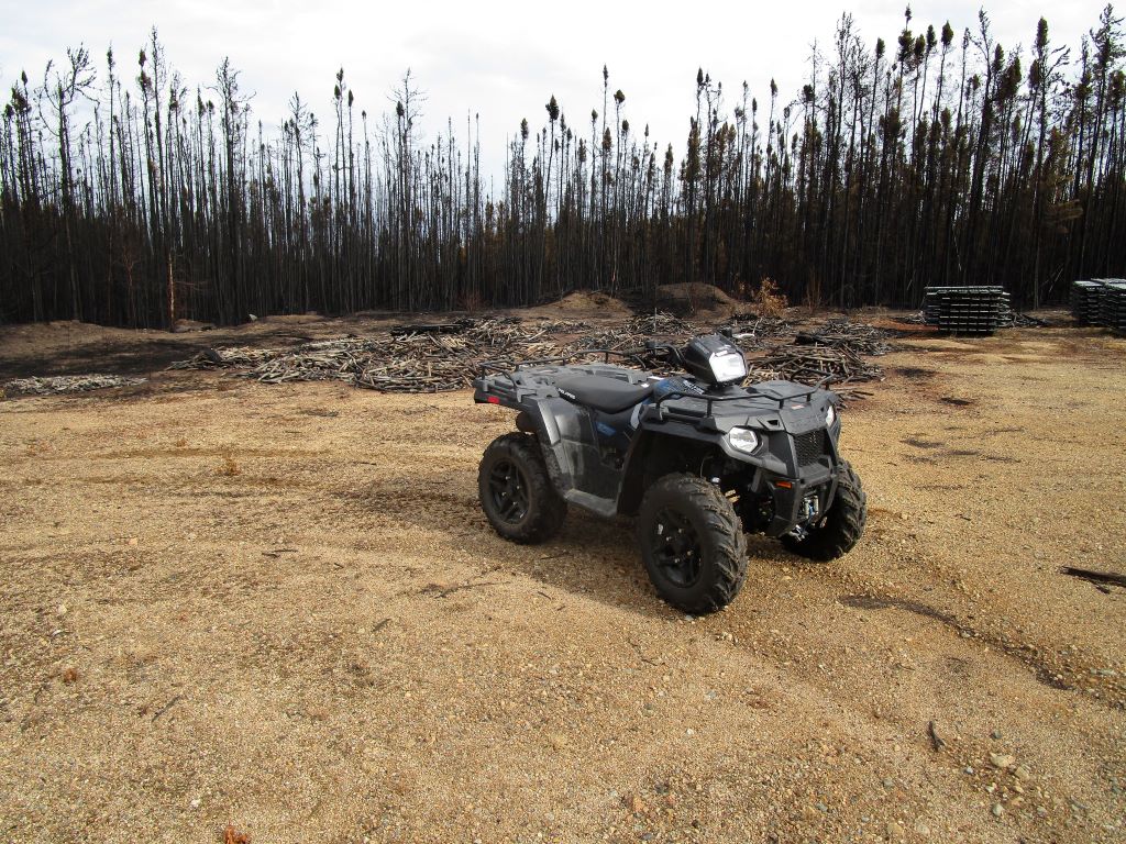 WHAT THE KING DID TODAY