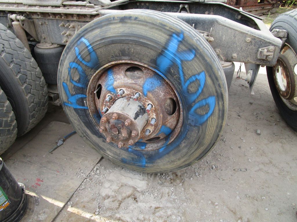 WHAT THE KING DID TODAY