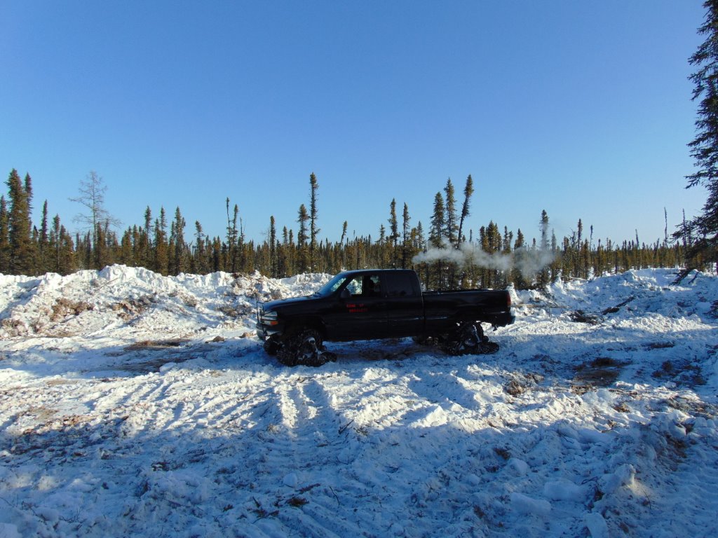 WHAT THE KING DID TODAY