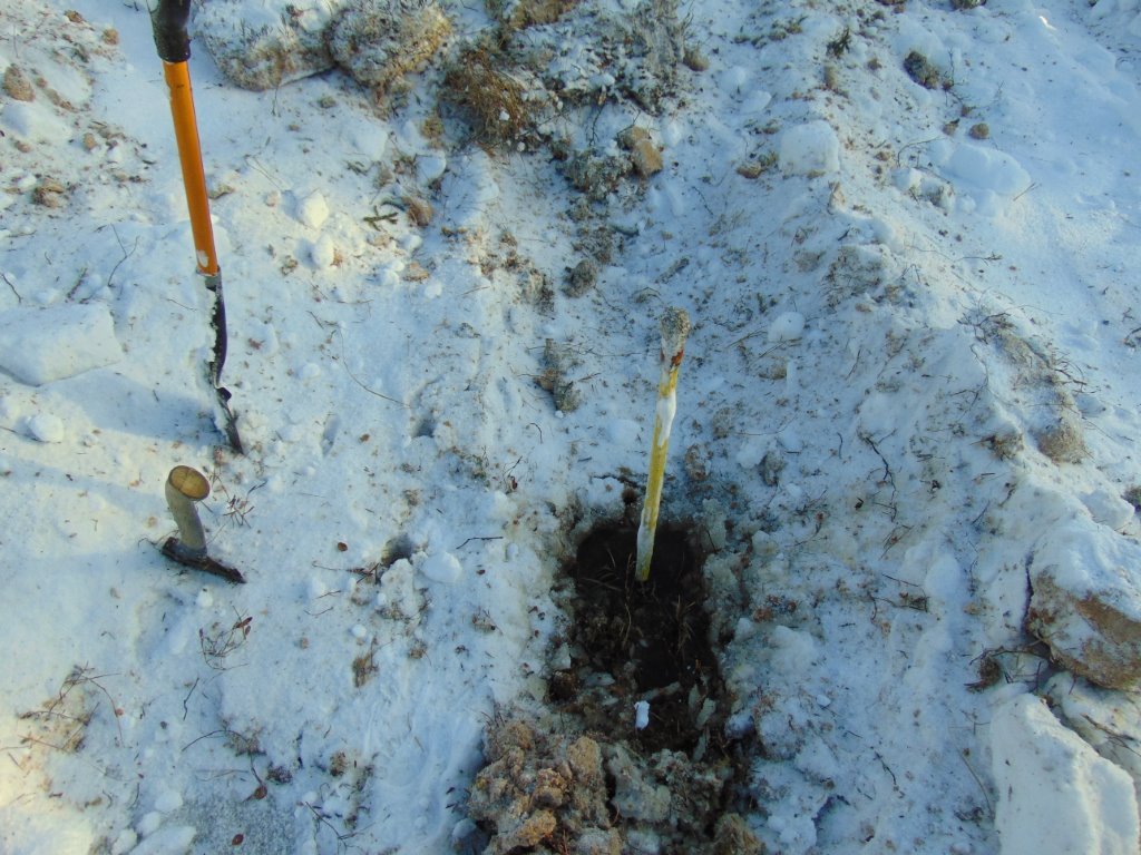 WHAT THE KING DID TODAY