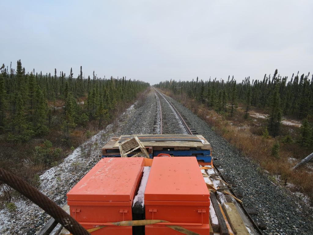 WHAT THE KING DID TODAY