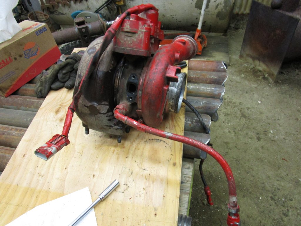 WHAT THE KING DID TODAY