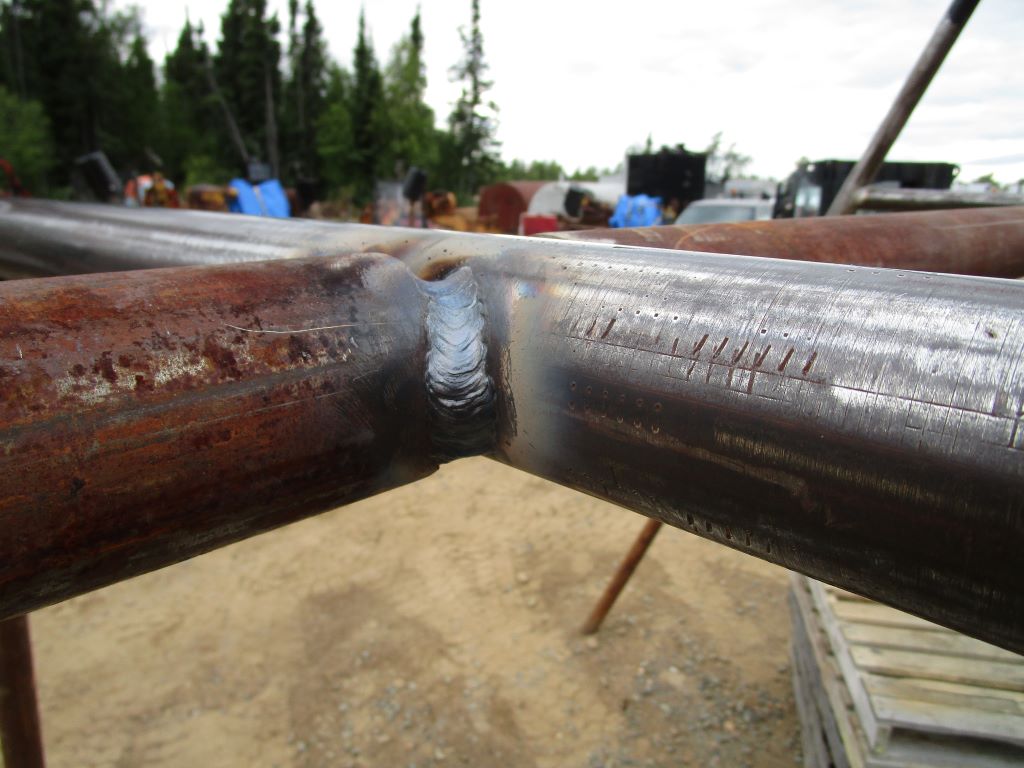 WHAT THE KING DID TODAY